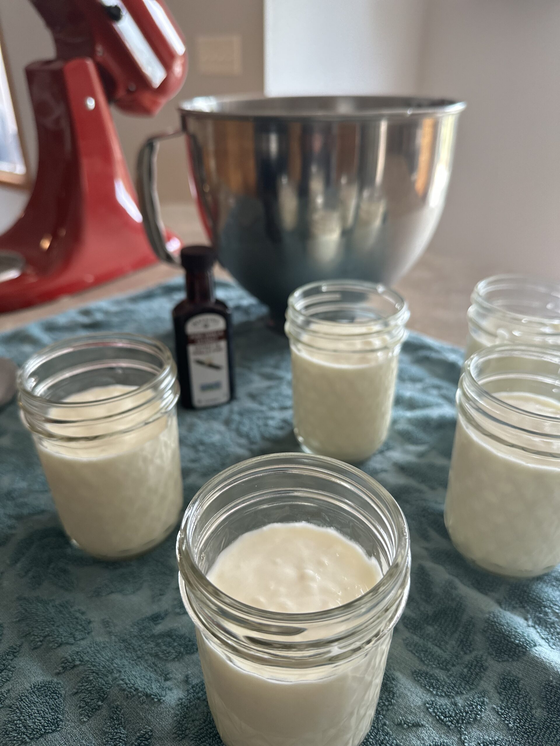 Homemade Yogurt | angiecherubini.com